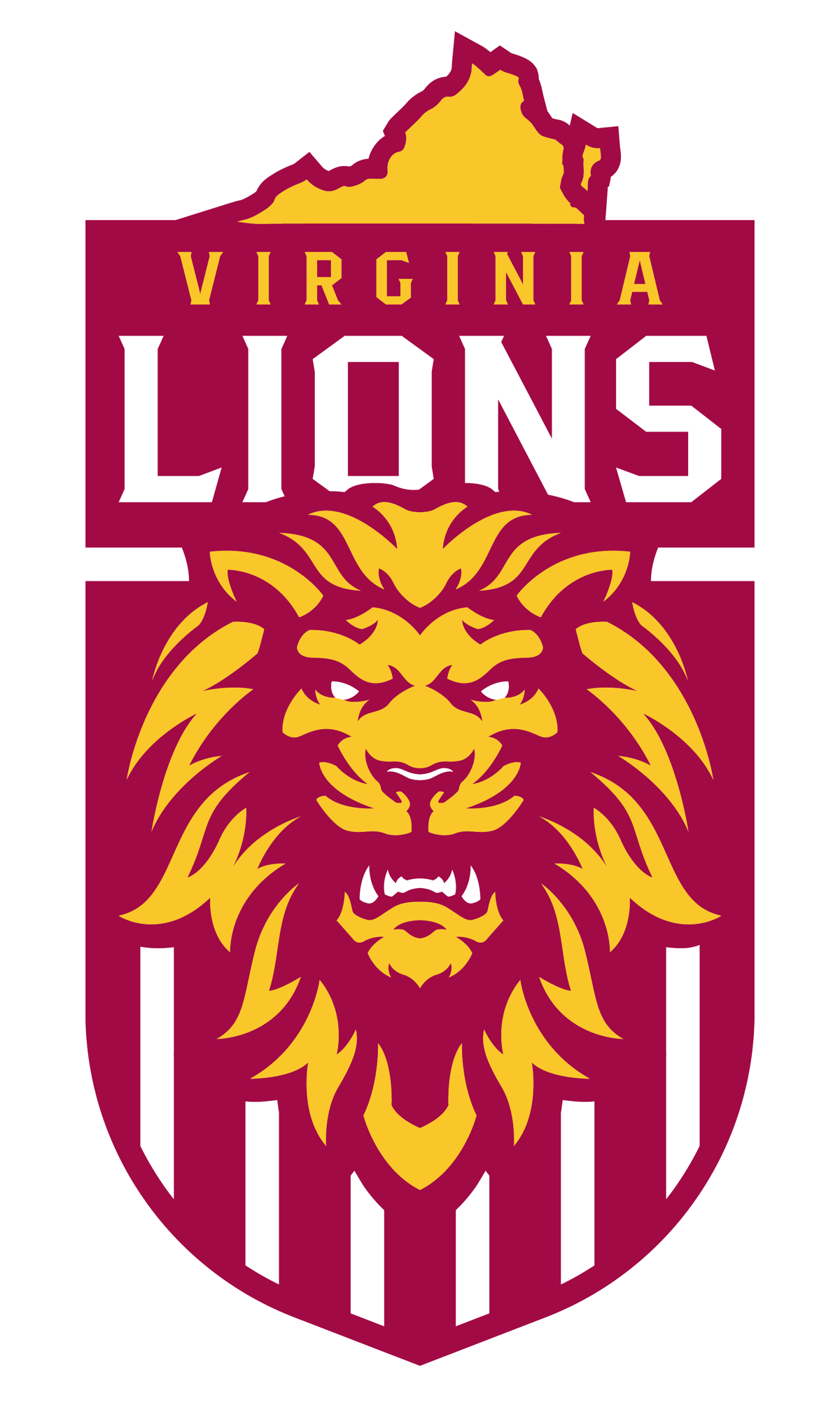 VIRGINIA LIONS Sporting Community & Supporters Club - Home | Playeasy