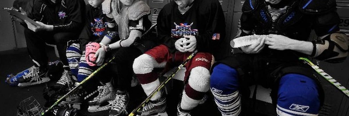 Pro Ambitions Hockey | Playeasy